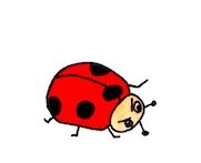 walking ladybug | Bravo Ma Vie
